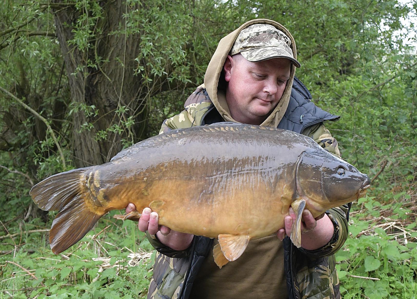 Effort=Reward | Total Carp